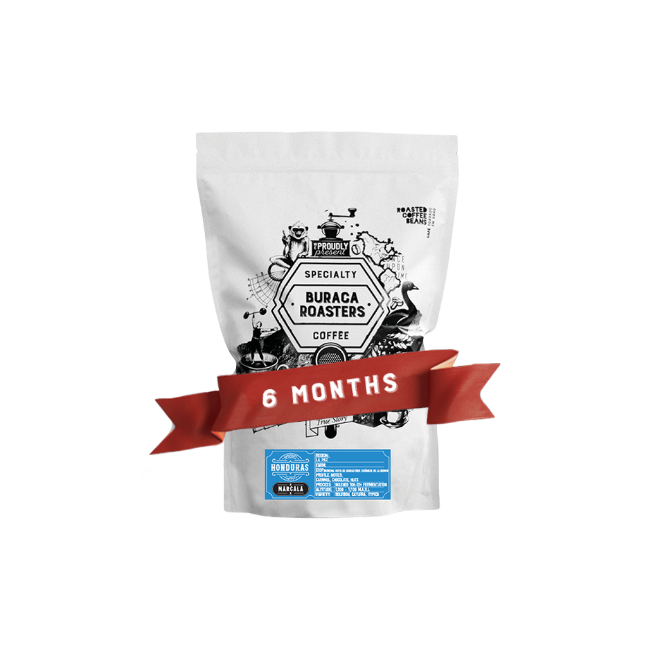 Buraca Roasters | Specialty Coffee Roaster in Portugal